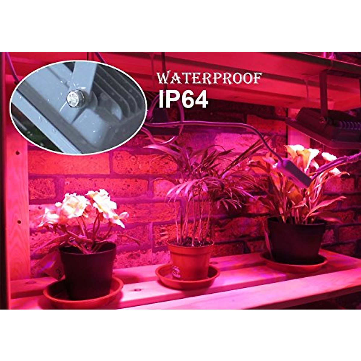 ACKE LED Grow Lights Full Spectrum,Plant Lights，Growing Lamps 12W for Indoor Plants,Hydropoincs