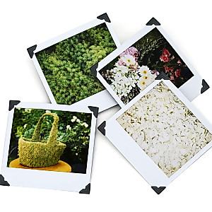 12 Sheets 288 Count Self-Adhesive Photo Corners Stickers, Acid Free Photo Mounting Corners for Scrapbooks, Memory Books, DIY Picture Album, Journal (Black)