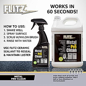 Flitz Industrial Strength Metal Pre Clean to Remove Corrosion, Rust, Calcium, Lime and More, Works in 60 Seconds, 16 Ounce