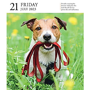 Dog Page-A-Day Gallery Calendar 2023: An Elegant Canine Celebration