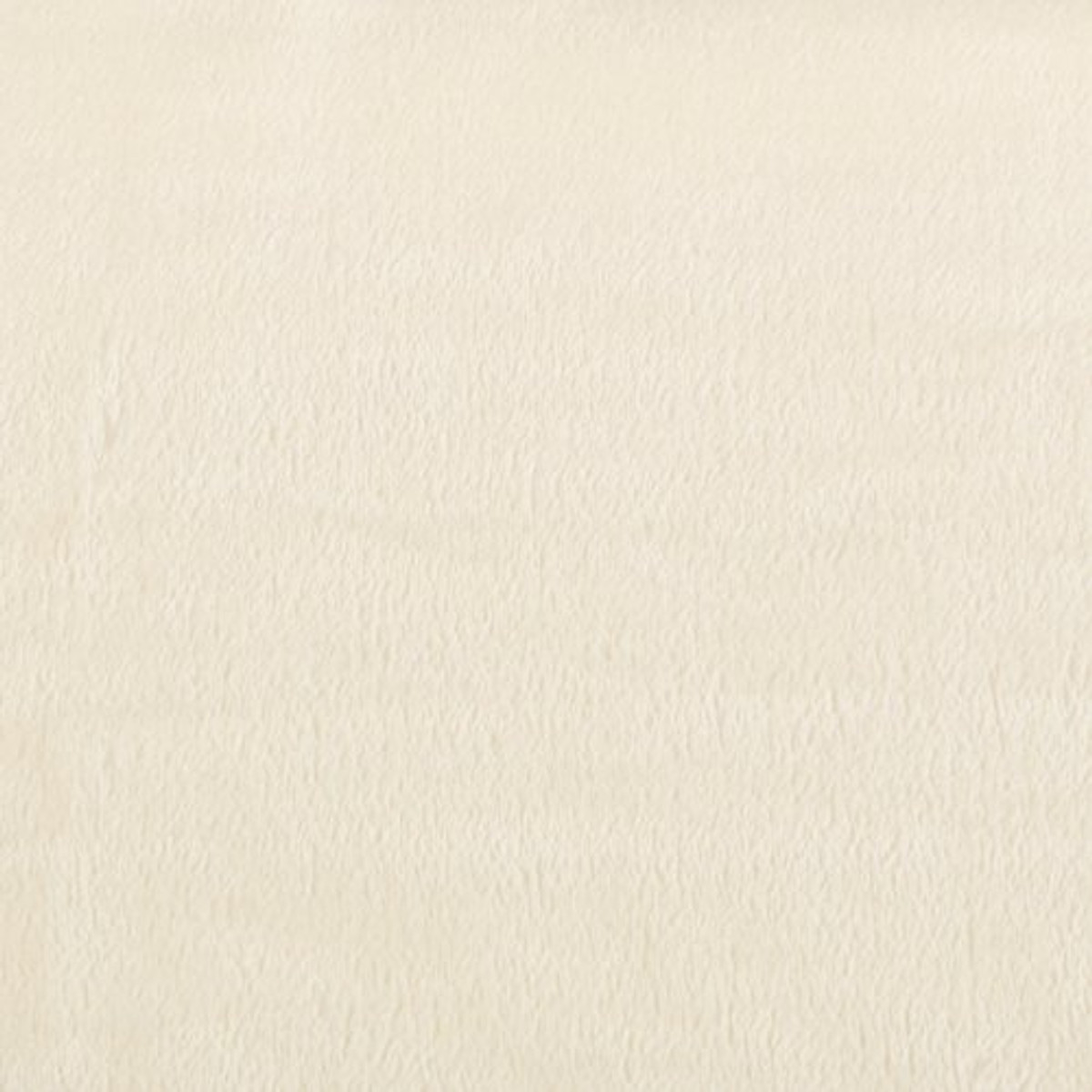 Amazon Brand - Pinzon Velvet Plush Blanket, Ivory, Twin (66 in x 90 in)