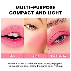 evpct 4Pcs Apple Strawberry Watermelon Cherry Korean Water Pink Red Lip Tint Lip Inks Stain Set for Lips Cheeks Long Wear tintas de labios tinte para labios tinta de labios de larga duracion duración