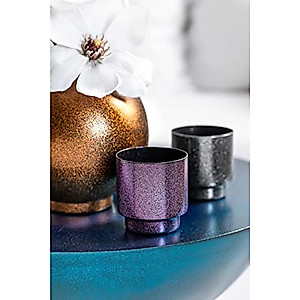 Montana Cans Montana EFFECT Spray Paint, Glitter Amethyst, 13.5 Fl Oz (Pack of 1)