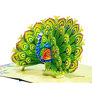 WOWPAPERART Peacock - 3D Pop Up Greeting Card For All Occasions - Love, Birthday, Christmas - Message Note for Personalized - Thick Envelope - 5x7 In