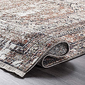 nuLOOM Charvi Distressed Medallion Fringe Area Rug, 9' x 12', Multi