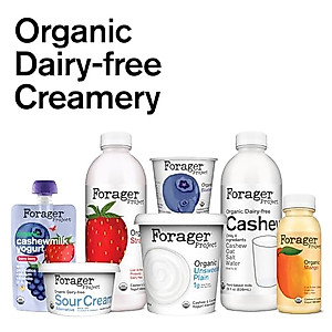 Forager Project Organic Strawberry Cashew Drinkable Yogurt, 8 FZ