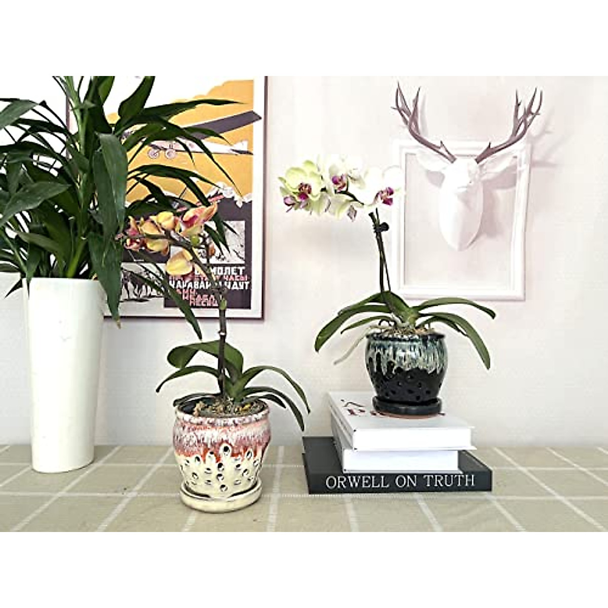 Orchid Pots with Holes 4.33 inch Ceramic Orchid Planter White and Black (Set of 2)