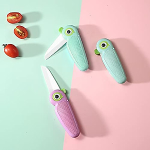 S.ROKE TTAN Portable Ceramic Paring Knife - 2.5 Inches Sharp Blade, Small Folding Knife, Cutter Peeler 2 in 1, Mini Cute Portable Fruit Knife for Travel, Camping (Pink + Green)