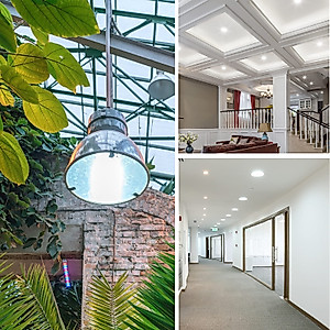 ENERGETIC 100W Outdoor Par38 Led Flood Light,1250lm,5000K Daylight,Dimmable, E26 Base,Waterproof Spot Bulb,UL Listed (12 Pack)