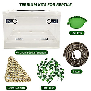 Hamiledyi Foldable Reptile Terrariums Kit, 5PCS Gecko Tank Starter Kits Mini Transparent Lizard Habitat Cages for Iguana, Snake, Bearded Dragon, Tortoise, Chameleon 15.6" x 11.6" x 9.4" White