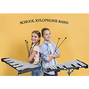 32 keys Glockenspiel Professional xylophone with Stand, Bag, Note Holder, Rubber Mallets