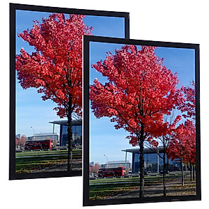 Medog 12x16 Picture Frame Black Display Pictures 12" x 16" Set Of 1 12x16 Black Picture Poster Frame Safety high transparent PC sheet Wall Mounting pin-hook not included (P1ZB 12x16 BA 1P)