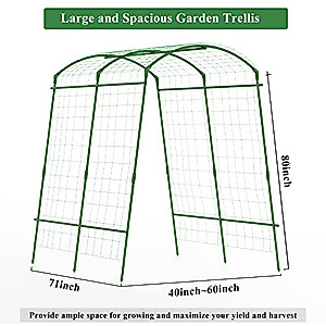 Large Garden Arch Trellis, Tunnel Trellis for Climbing Plants Outdoor, Vegetables Like Squash Cucumber and Grape