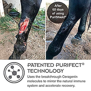 Farnam PuriShield Horse Wound Care, Intensive Care Gel Promotes Healing, Long Lasting Relief and Protection 12 Ounces