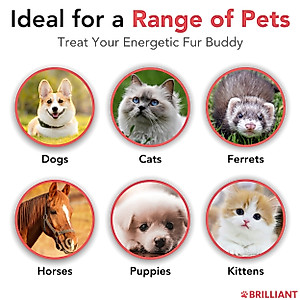 Brilliant Omega 3 Salmon Oil for Dogs & Cats - Norwegian Fish Oil Supplement with EPA & DHA Fatty Acids for Shedding, Allergy, Itching, Dry Skin & Joint Health - Skin and Coat Fish Oil Liquid, 40 Oz