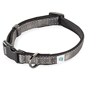 Embark Adventure Dog Collar with Soft Padded Neck, Matching Set with The Adventure Leash and Harness, Pet Collars for Dogs & Most Breeds - Dog Collar for Small Dogs (Small Dog Collars, Black)