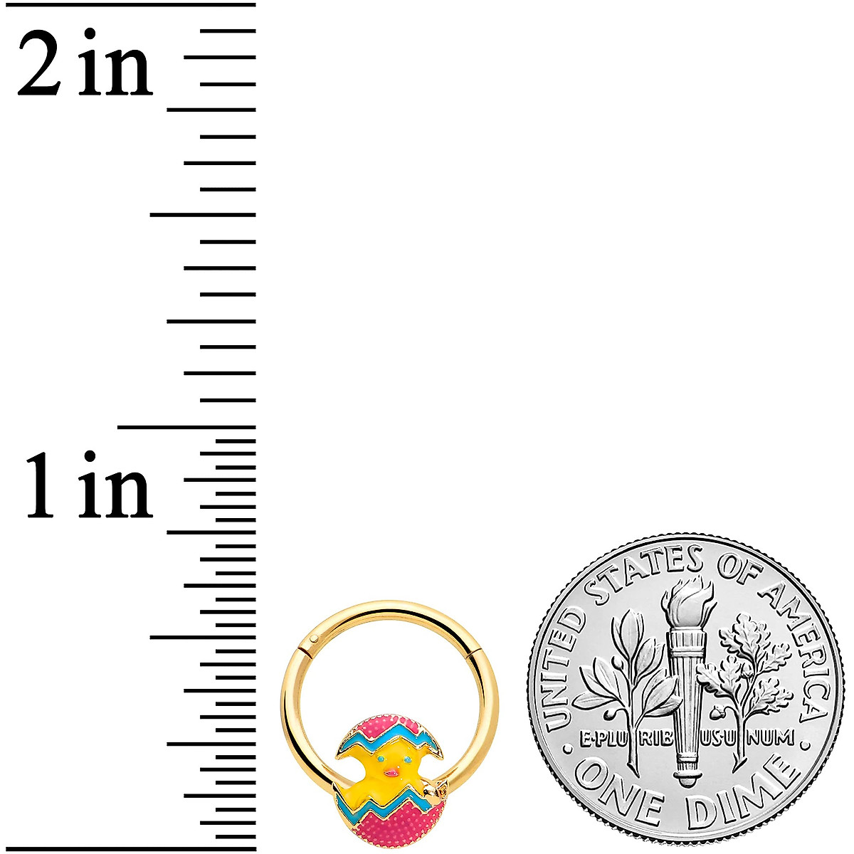 Body Candy 16G PVD Steel Hinged Segment Ring Seamless Cartilage Nipple Ring Painted Egg Chick Nose Hoop 3/8"