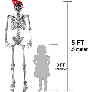 Halloween Decorations - 5 Ft Placeable Halloween Skeleton - Full Body Life-Size Skeleton Prop with Movable Joints for Halloween Outdoor Yard Haunted House Prop Decoration