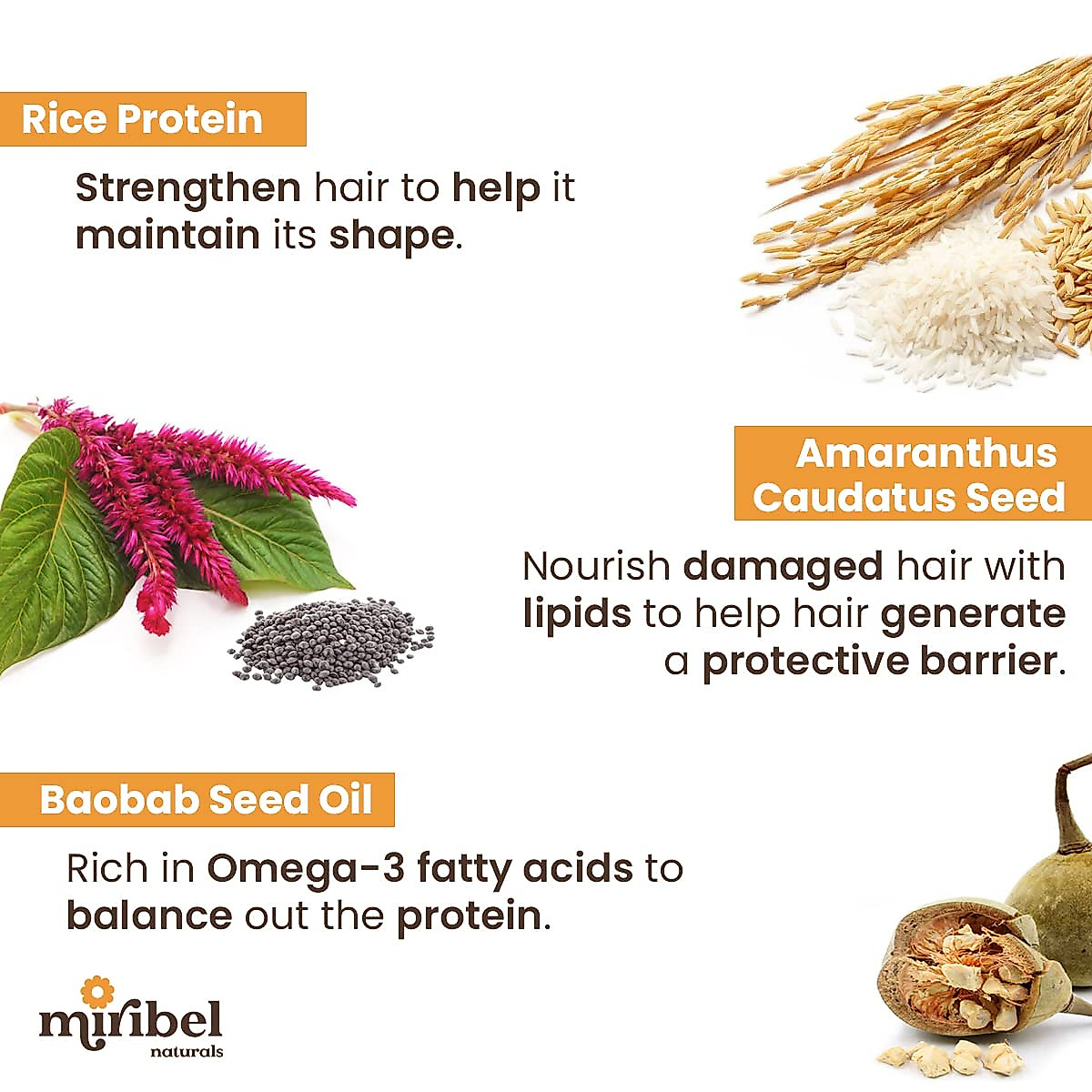 Miribel Powerhouse Protein Cream for Hair, 8 fluid ounces - Repair, Strengthen, and Protect Damaged, Fine, Wavy, or Curly Hair - Vegan, Sulfate-Free, Paraben-Free Leave-In Conditioner and Protein Mask