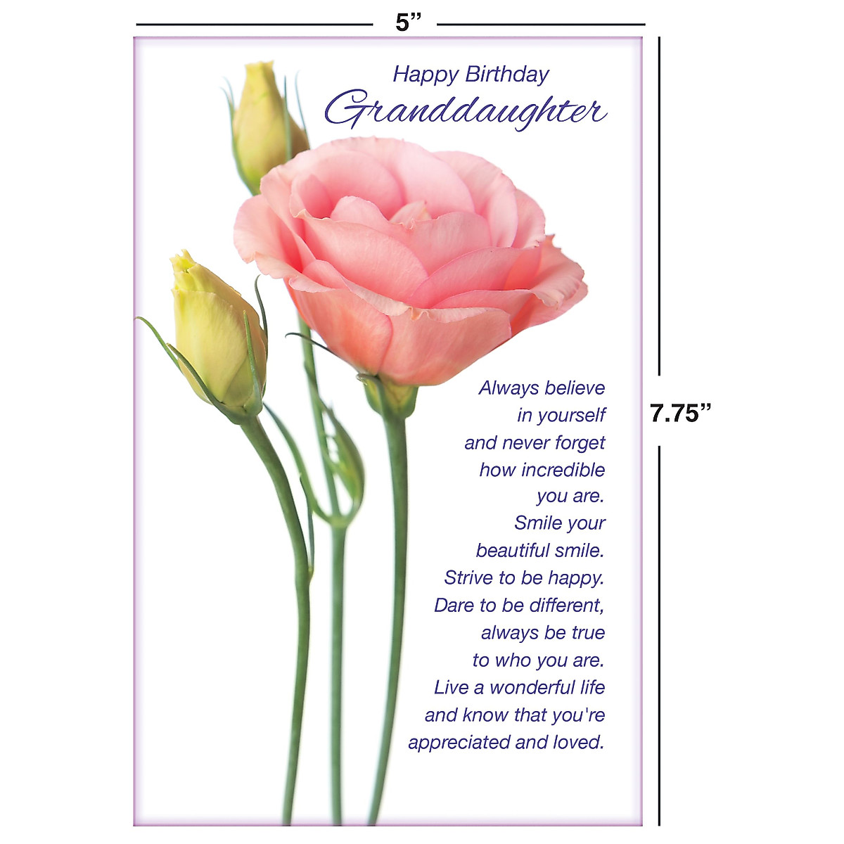 Chuck's Card-O-Rama - Granddaughter Birthday Card - Made in USA - Large Card Opens to 10" x 7.75" - Why Pay More? - 95359