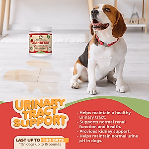 Dog Cranberry Supplement - Natural Dog UTI Treatment & Kidney Support for Dogs. Dog Supplement Powder Same as Cranberry Pills for Dogs. Puppy Supplies for Dog Pee Health - Dog Incontinence Product