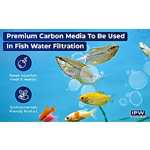 10 Lbs Bulk Water Filter/Air Filter Refill Coconut Shell Granular Activated Carbon Charcoal