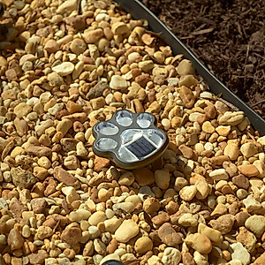 Smart Solar Paw Print Garden Accent Light with Cool White LEDs 3341WMM6