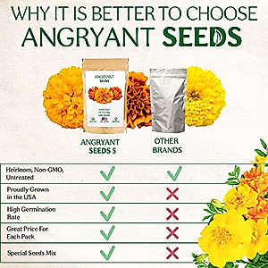 Marigold Petite Mix Seeds - 999+ Heirloom Flower Seeds for Planting Indoors and Outdoors in Your Home Garden - Non GMO, USA Grown - Annual, Open Pollinated Wildflower Seeds Bulk for Companion Planting
