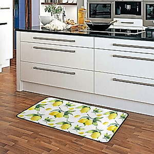 SLHKPNS Lemon Kitchen Rug Non-Slip Lemon Kitchen Mat Rug Comfort Runner Doormat 39x20 Inch Soft Floor Mat for Home Kitchen Decor
