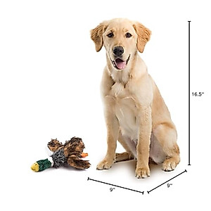 wangstar Squeaky Dog Toy for Puppy Dogs Toys to Keep Them Busy Mallard Duck Stuffed Dog Toys for Medium Small Dogs, 16.5" Wild Duck
