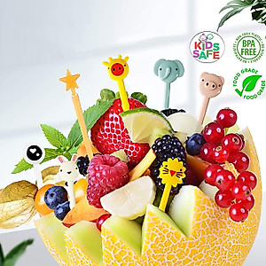 Sandwich Bread Cutters Shapes Set for Kids Vegetables Fruits Cheese Shapes Mold Supplies Crust Lunchbox and Bento Box