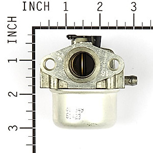 Briggs & Stratton 799868 Small Engine Carburetor Replaces for 498254, 497347, 497314, 498170 , Silver