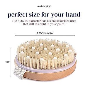 MainBasics Dry Body Brush Exfoliating Body Scrubber - Boar Bristles & Massage Nodules for Dry Skin, Blood Circulation, Cellulite Treatment, and Lymphatic Drainage