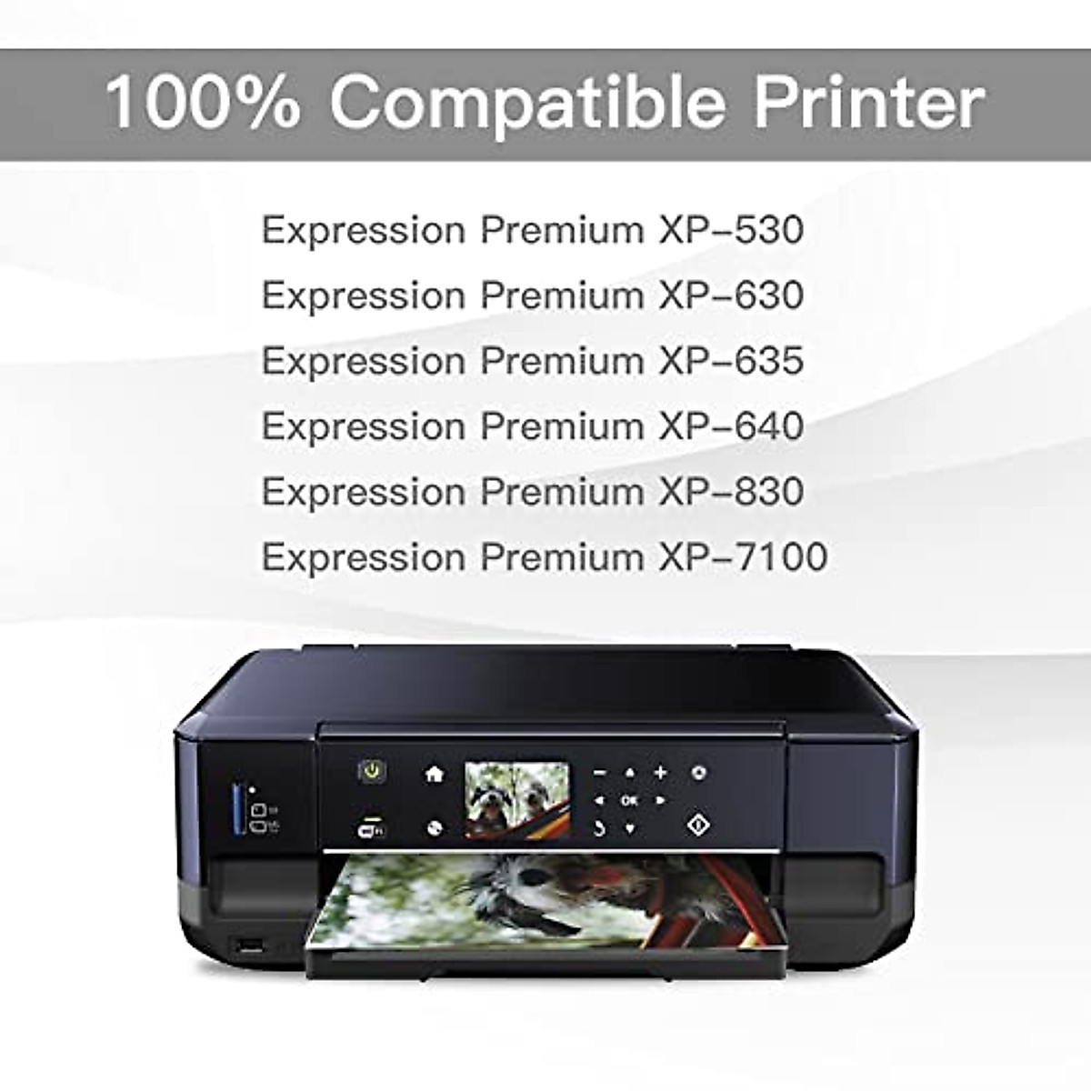 BeOne 410XL Ink Cartridges Remanufactured Replacement for Epson 410 XL T410 T410XL to Use with Expression XP-530 XP-630 XP-635 XP-640 XP-830 XP-7100 (2 Black)