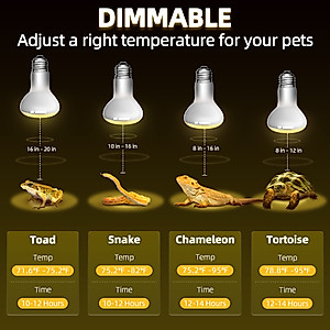 HETOO (Red/White Random Color Heat Lamp, Reptile Heat Lamp Bulbs, Full Spectrum Basking Spot Heat Light Bulbs for Reptiles & Amphibians Bearded Dragon Turtle Lizard Tank Accessories, E26 Base, 50W