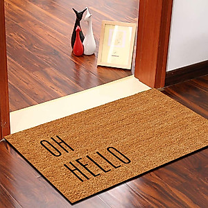 MOMOBO Funny Doormat Custom Indoor Doormat -Oh Hello Funny Front Mats Home and Office Decorative Entry Rug Garden/Kitchen/Bedroom Mat Non-Slip Rubber 23.6 x15.7 Inch