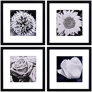 Yaetm 12x12 Picture Frames Black Set of 4, Square Frame Displays 8x8 with Mat or 12 x 12 without Mat, Gallery Wall Frames 12x12 for Wall Mounted (4 Pack, Black)