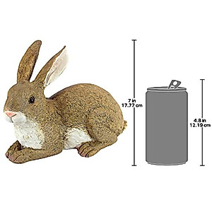 Design Toscano QM200861 Bashful The Bunny Lying Down Rabbit Outdoor Garden Statue, 10 Inch, full color