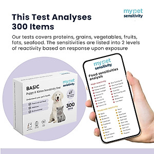 My Pet Sensitivity Test - Home Puppy & Kitten Sensitivity Test | 300 Items | 3-5 Day Results | Non-Invasive Hair Sampling | Comprehensive Food & Environmental Analysis | Ideal for Young Pets