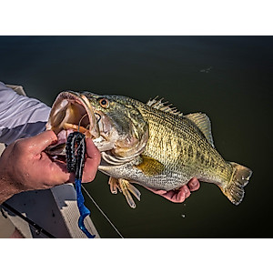 Berkley PowerBait® Power Worm Fishing Bait, Cherryseed, 7in | 18cm, Irresistible Flavor, Classic Curly Tail Worm Profile, Ideal for Spring, Summer and Fall Fishing