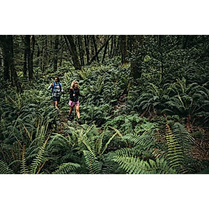 CamelBak Women’s Sequoia 24 Hiking Hydration Pack - Hike Backpack - 100oz, Castlerock Grey/Charcoal