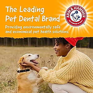 Arm & Hammer for Pets Barkies Tree Branch Compressed Wood Collection, 8 Inch Bacon Flavored Wood Blend Chew Toy for Dogs | Faux Stick, Splinter-Free, Safer & Durable Alternative to Chewing Sticks
