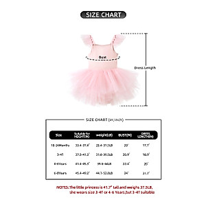 Girls Dance Tutu Dresses Ruffle Sleeve Snap Crotch Ballet Leotards Ballet Pink 3-4T