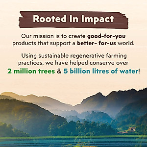 Big Tree Farms Organic Coco Aminos, Original Flavor, Soy Free, Vegan, Gluten Free, Paleo, Certified Kosher, Whole30, Non GMO, Low Glycemic, Low Sodium, Sauce & Marinade Substitute, 10 oz (Pack of 2)