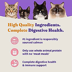 Halo Holistic Cat Food Dry, Wild-caught Salmon and Whitefish Recipe, Complete Digestive Health, Dry Cat Food Bag, Adult Formula, 3-lb Bag