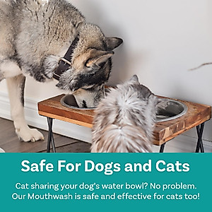 Dog Mouthwash, Dental Water Additive for Fresh Breath, Plaque & Tartar Control, Best Natural Cleaning Freshener Formula for Healthy Teeth & Gums, Advanced Easy-to-Use Oral Care Solution