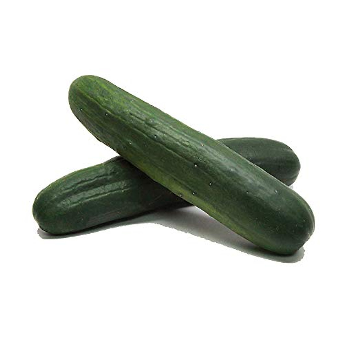 "Cobra" Cucumber Seeds for Planting, 25+ Seeds Per Packet, (Isla's Garden Seeds), Non GMO Seeds, Botanical Name: Cucumis sativus, Great Home Garden Gift