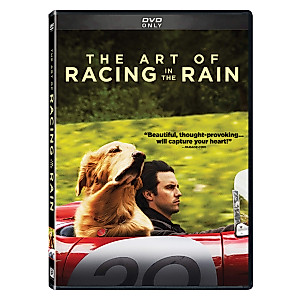 The Art of Racing in the Rain