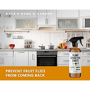 Kate's Home & Garden Plant Spray for Insects & Getting Rid of Gnats with 12 Gnat Sticky Traps. Fungus Gnat Killer & Gnat Control for Indoor Plants (16oz, Pet Safe, Non Toxic)