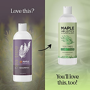 Tea Tree Shampoo for Oily Hair - Paraben and Sulfate Free Clarifying Shampoo for Build Up and Dry Scalp with Tea Tree Oil for Hair - Purifying Aromatherapy Tea Tree Oil Shampoo for Greasy Hair